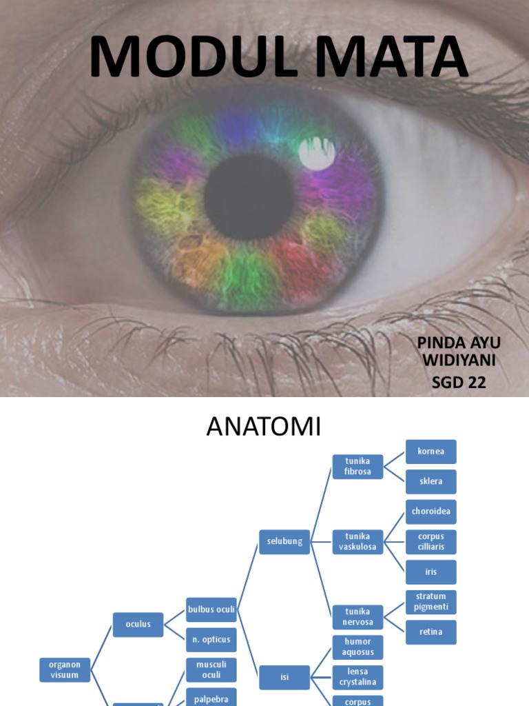 Small Group Discussion | PDF