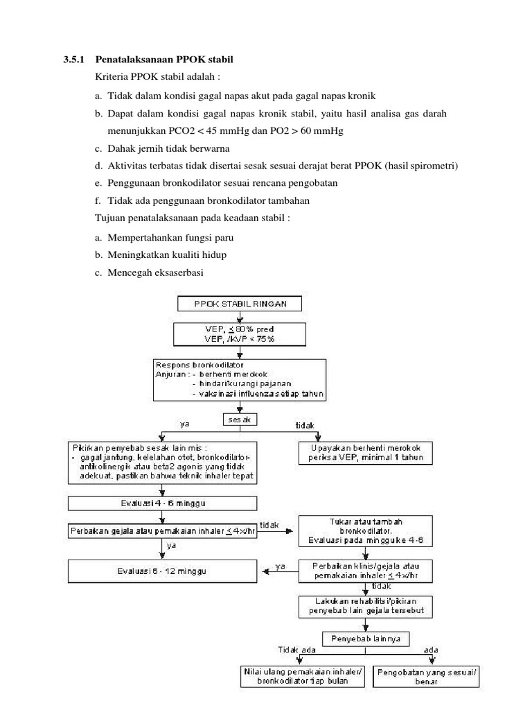 Penatalaksanaan PPOK Eksaserbasi Akut | PDF | Pengembangan Diri | Sains & Matematika