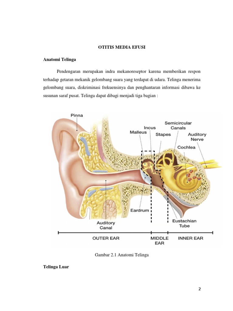 Otitis Media Efusi | PDF