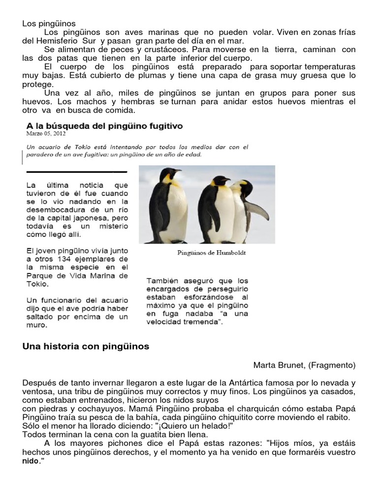 Los Pingüinos - Lectura Básica | PDF | Hogar, jardinería y bricolaje