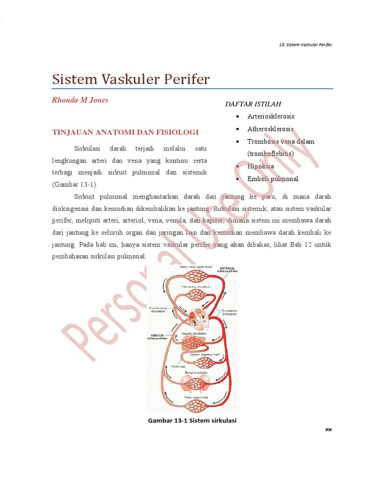 Sistem Pembuluh Daraf Perifer Nita PDF | PDF