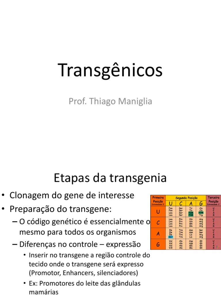 Aula 4 - Transgenia | PDF | Soja | Engenharia Genética