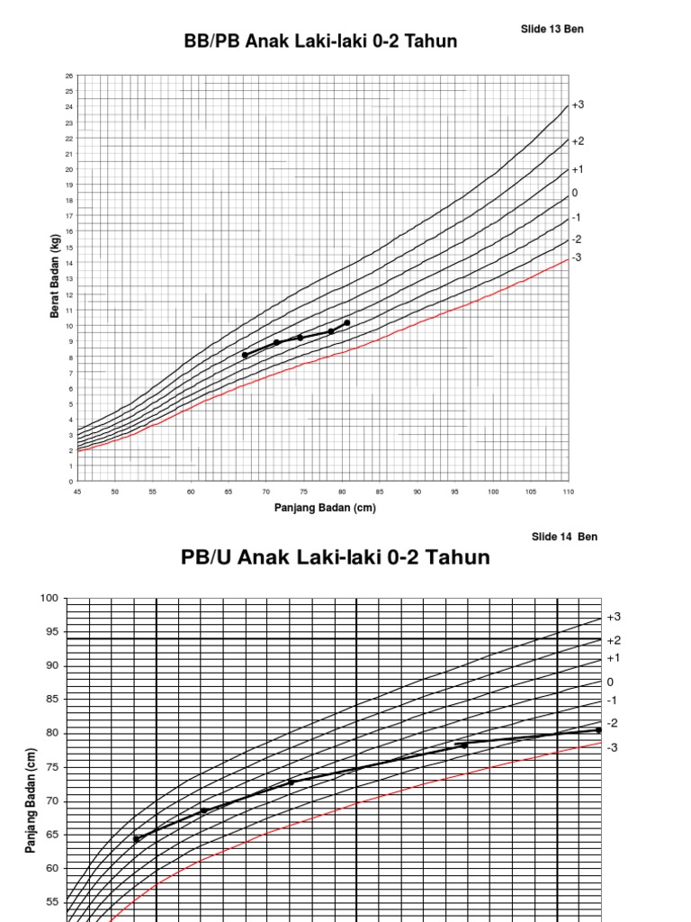 BB/PB Anak Laki-Laki 0-2 Tahun: Slide 13 Ben | PDF
