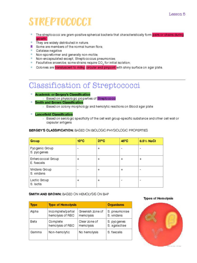Streptococci | PDF | Streptococcus | Immunology