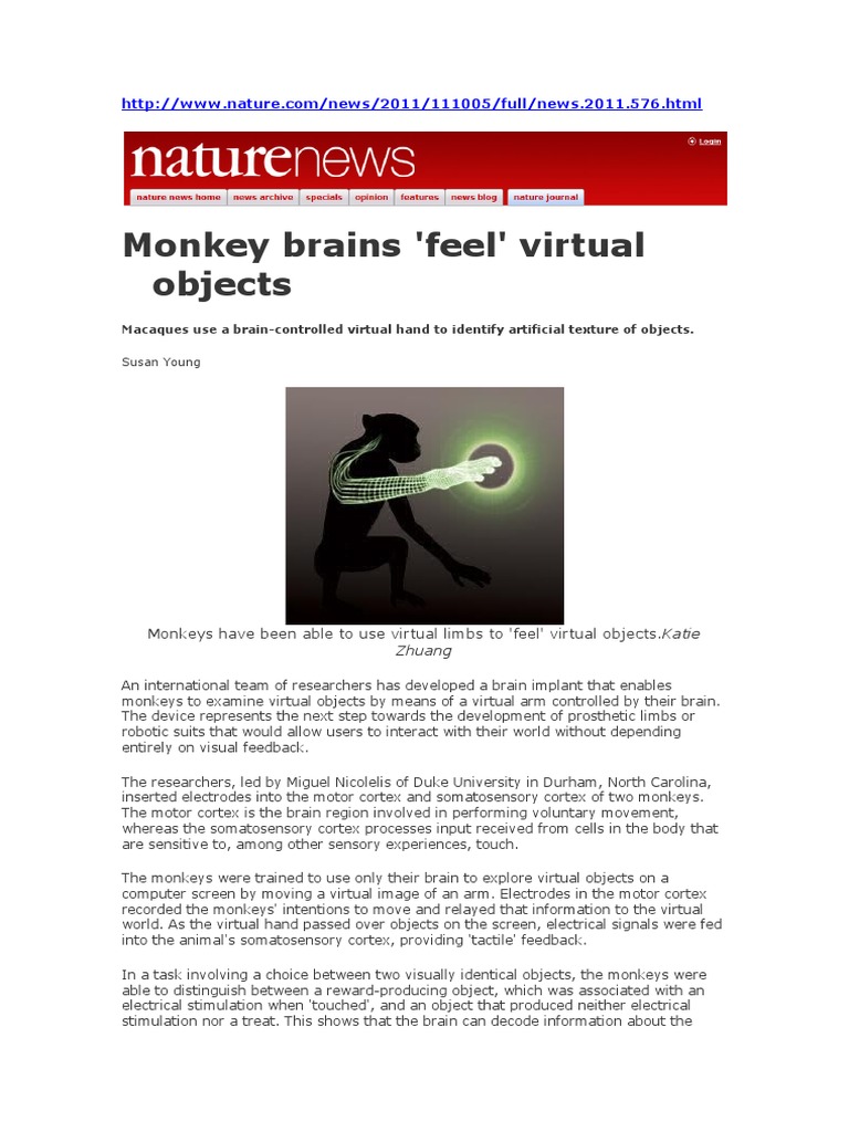Monkey Brains Feel Virtual Objects. | PDF | Somatosensory System | Brain