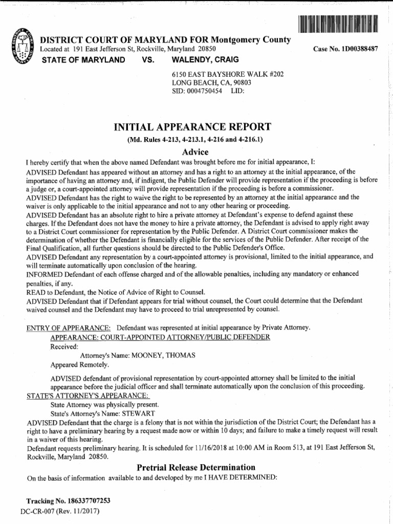 Initial Court Appearance - Craig Walendy | PDF
