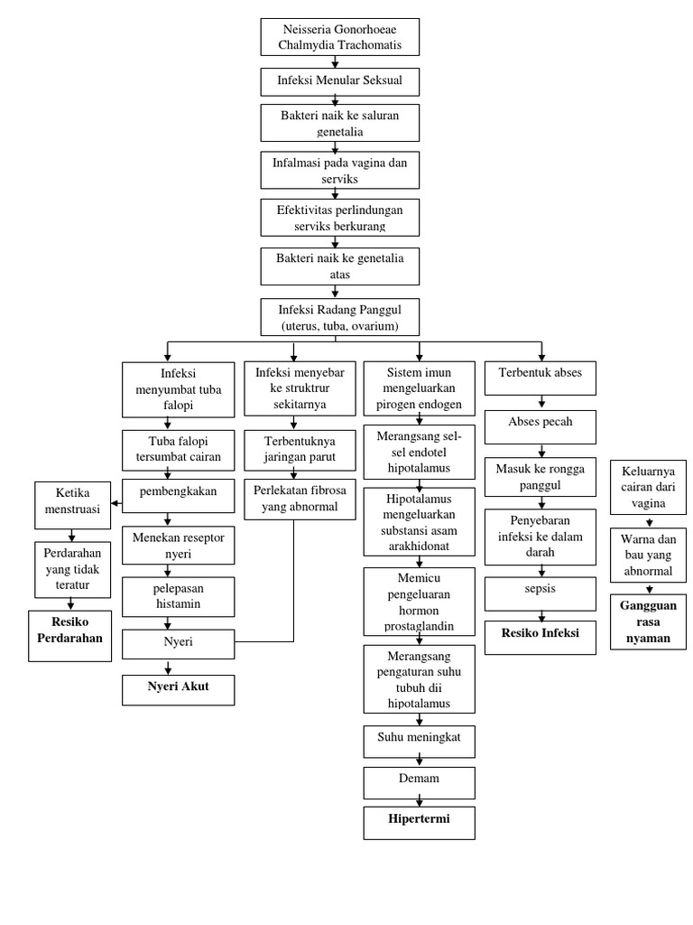 Pathway Infeksi Radang Panggul | PDF