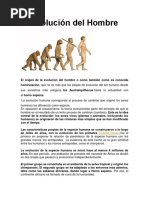 Dryopithecus | PDF | Hominidae | Homo Sapiens