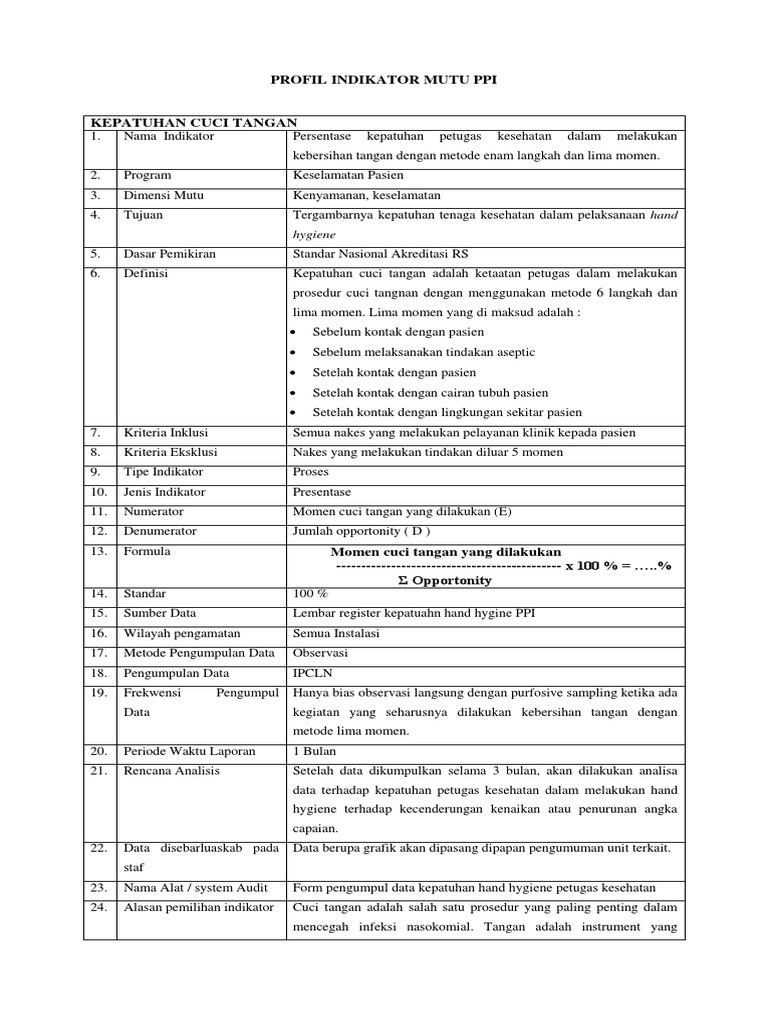 Profil Indikator Mutu Ppi | PDF