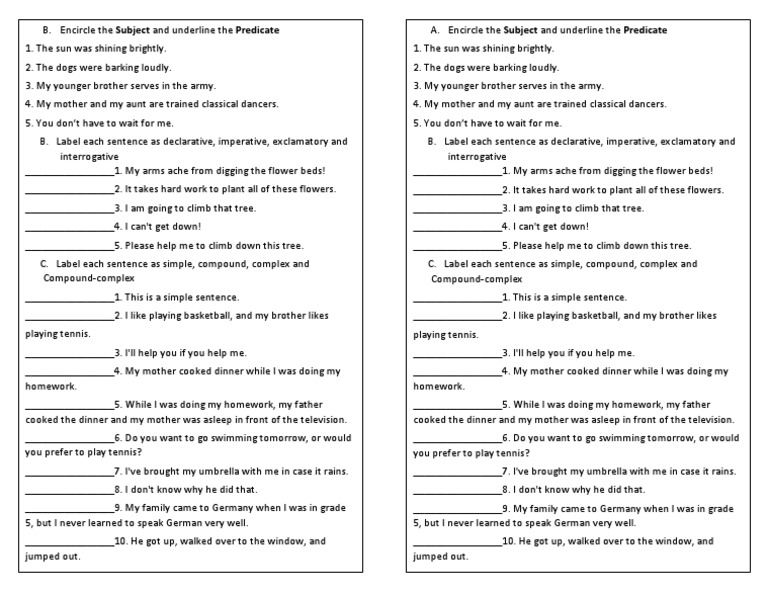 Types of Sentence Quiz | PDF | Linguistic Typology | Language Mechanics