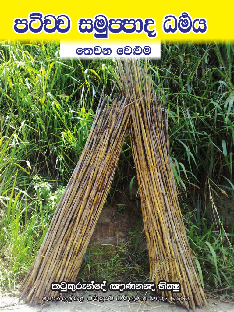 Paticca Samuppada 3 | PDF