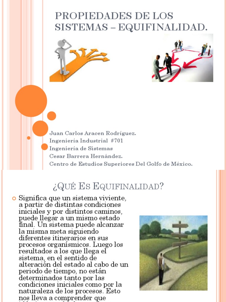 Propiedades de Los Sistemas - Equifinalidad | Sistema | Naturaleza