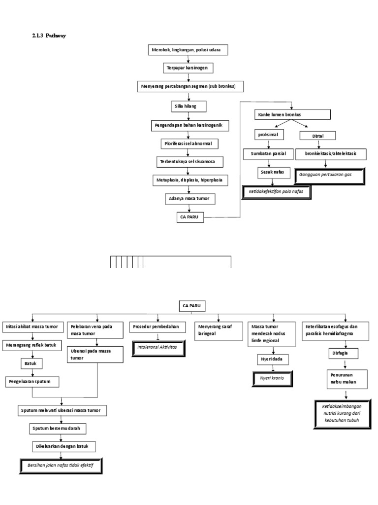 Pathway Ca Paru Fix | PDF
