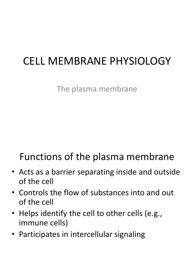 Cell Membrane Physiology | PDF | Cell Membrane | Vesicle (Biology And ...