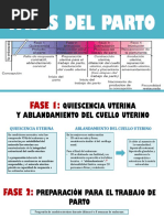 Partograma OMS 2018 | PDF | Parto | Embarazo Mamífero