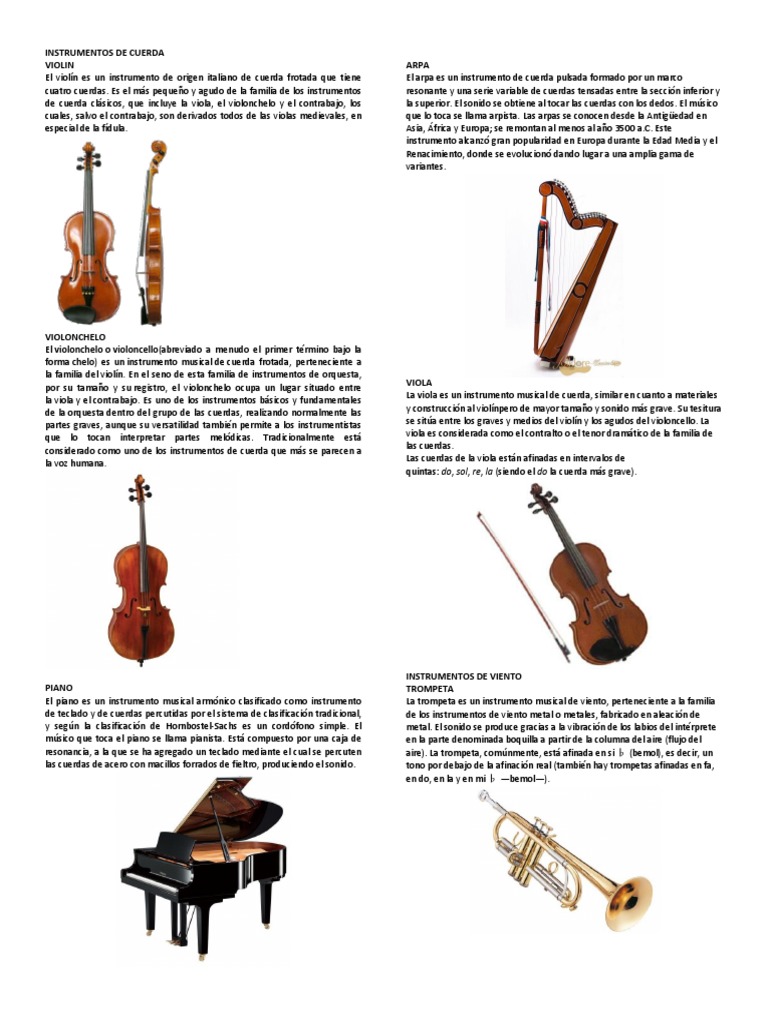 Instrumentos de Cuerda: Guía Esencial | PDF | Flauta | Violonchelo