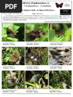 Función y Efectos de la Motilina | PDF | Diarrea | Intestino delgado