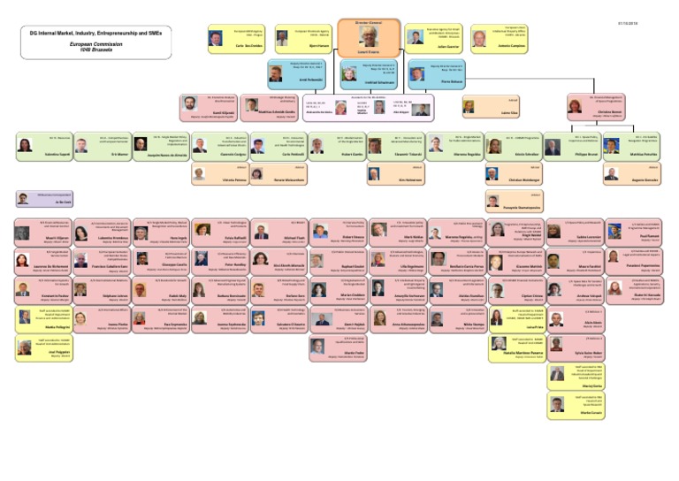 Organisation Chart Dg Grow En | European Union | Science And Technology ...