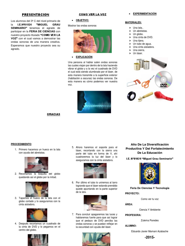 Triptico de Ciencias | Descargar gratis PDF | Science | Ciencia (general)