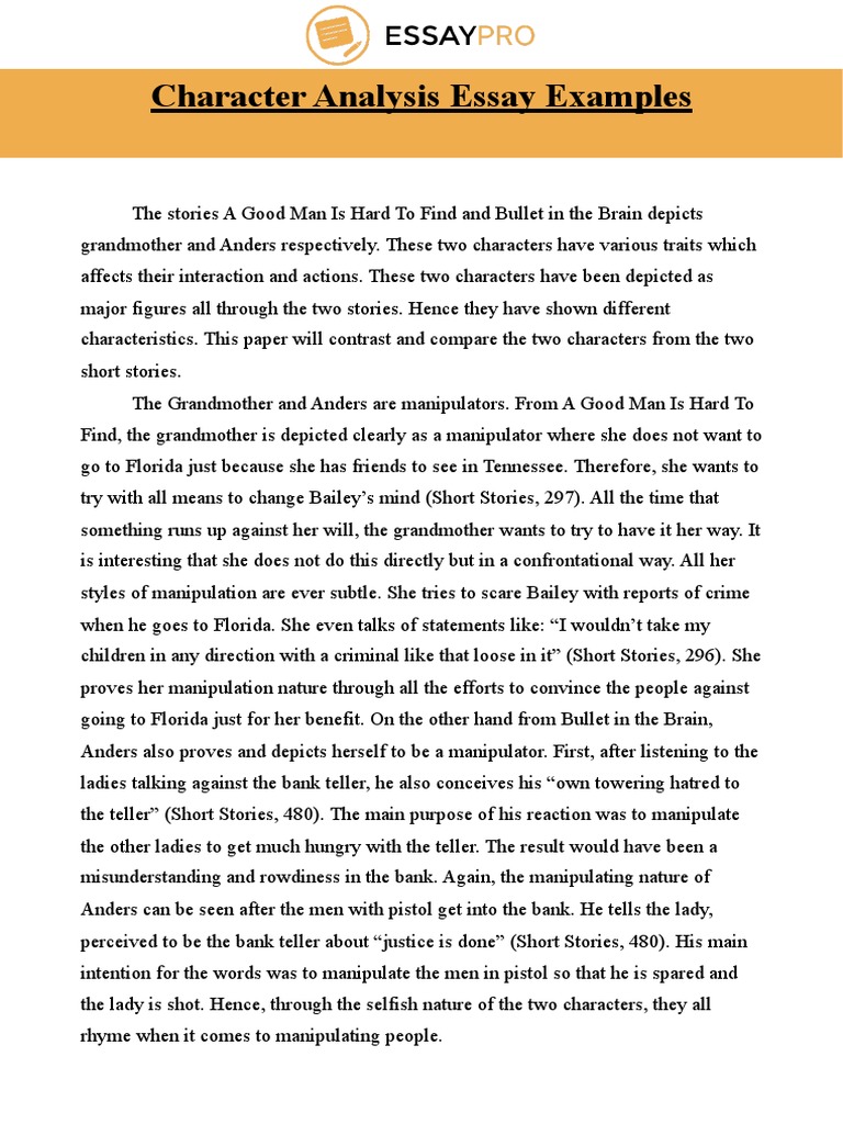 Character Analysis Essay Examples | PDF | Huckleberry Finn | Adventures ...