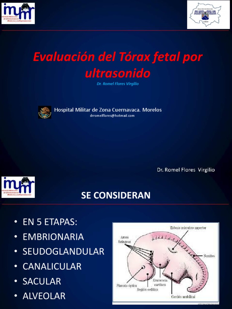 Valoracion Del Torax Fetal | PDF | Pulmón | Feto