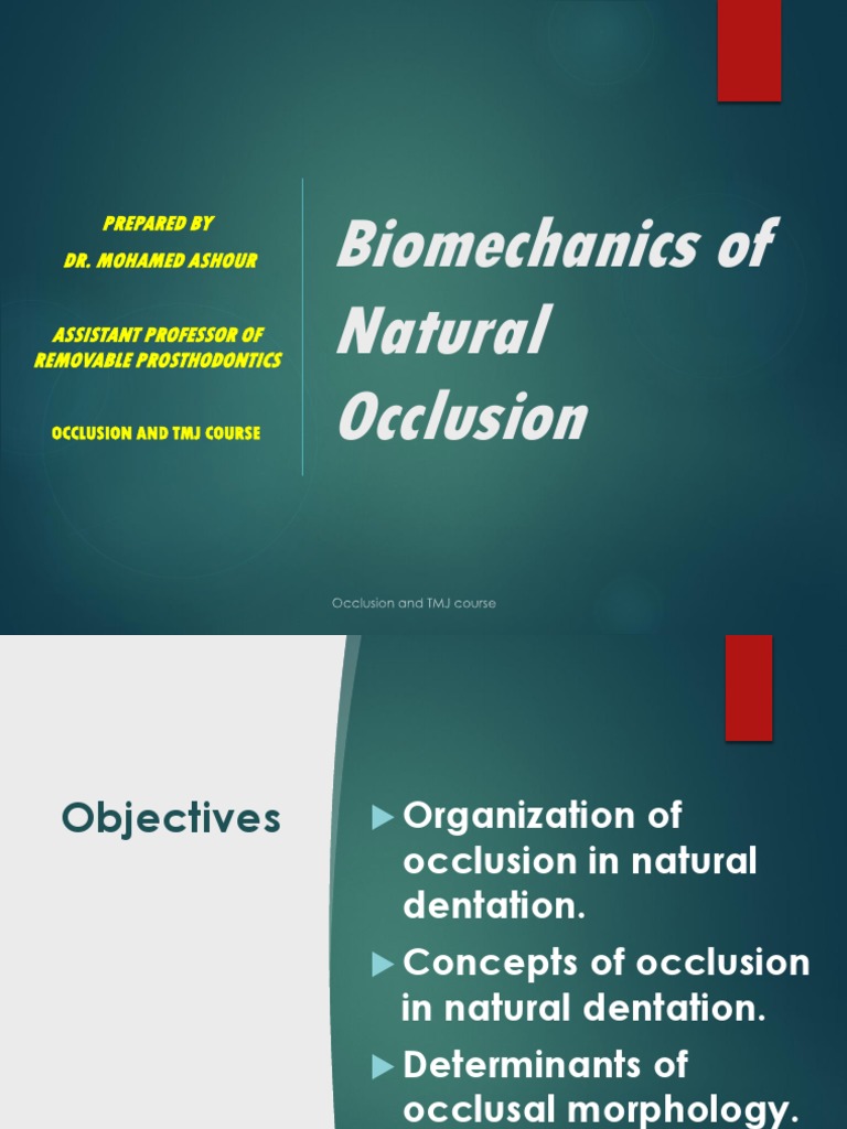GPT 9 | Download Free PDF | Human Tooth | Dental Anatomy