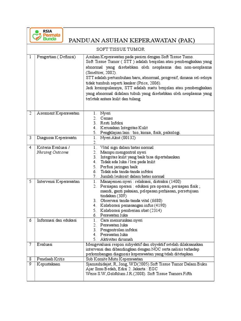 Panduan Asuhan Keperawatan STT | PDF