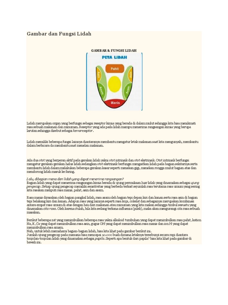 Gambar Dan Fungsi Lidah | PDF