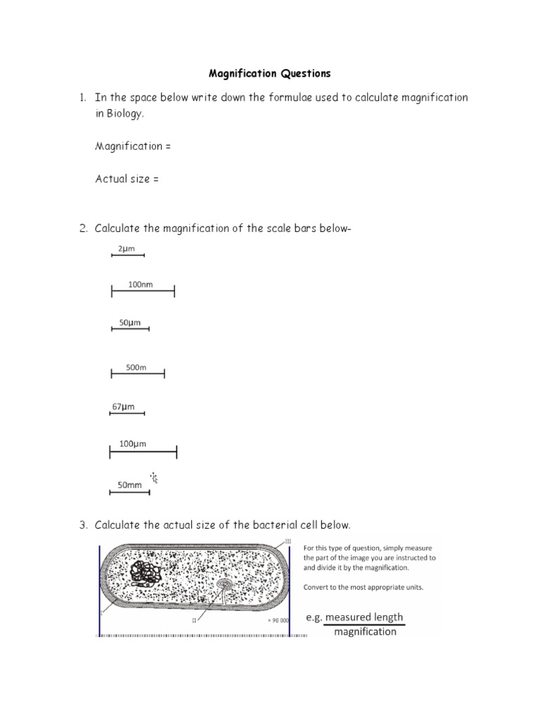 Magnification Questions | PDF