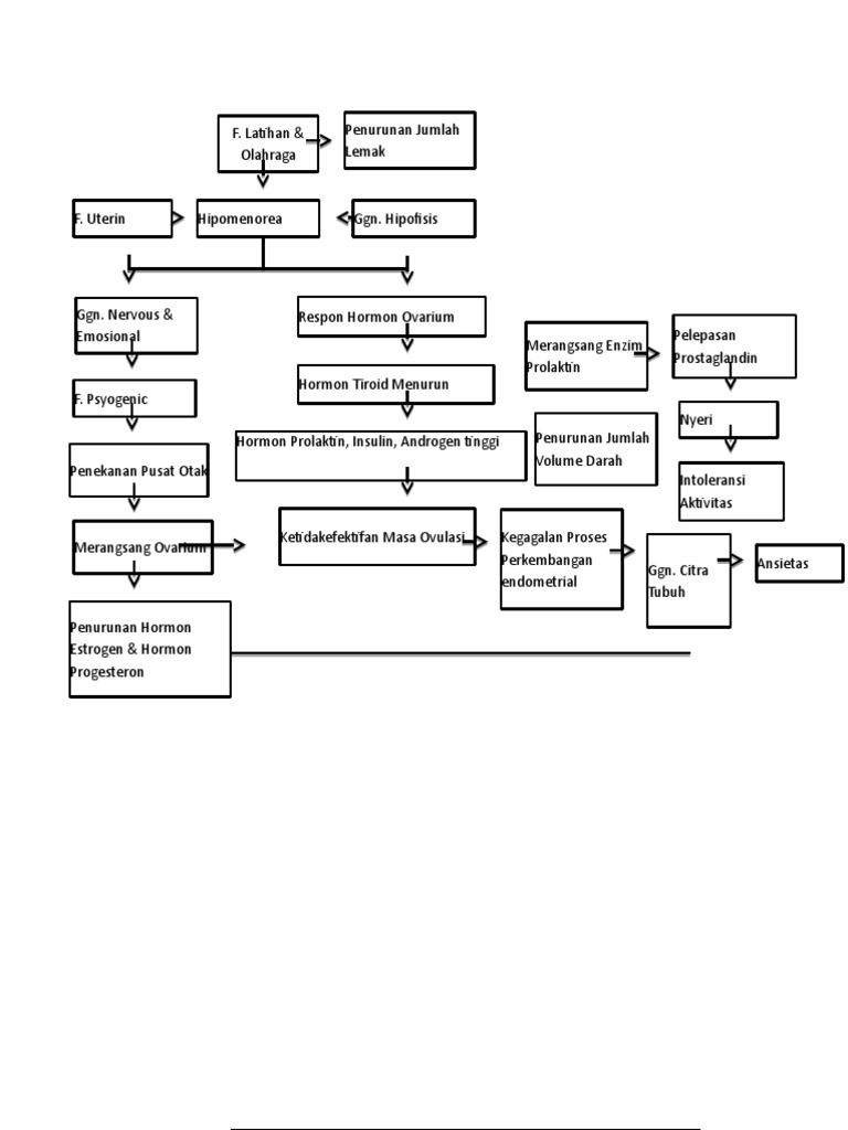 Patofisiologi Hipomenorea | PDF