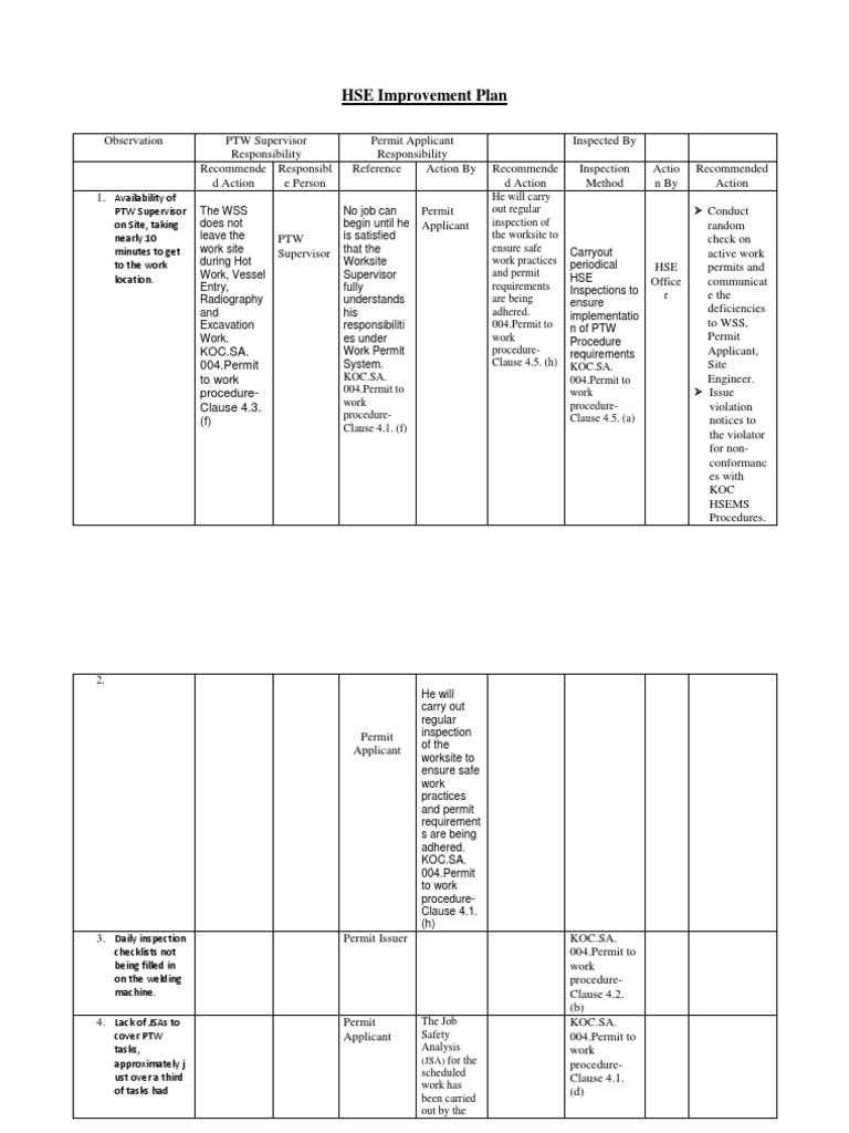 HSE Action Plan | PDF | Business