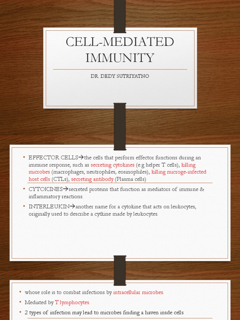 Cell Mediated Immunity | PDF | T Cell | Cytotoxic T Cell