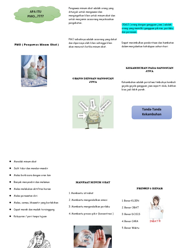 Leaflet PMO | PDF | Pengembangan Diri