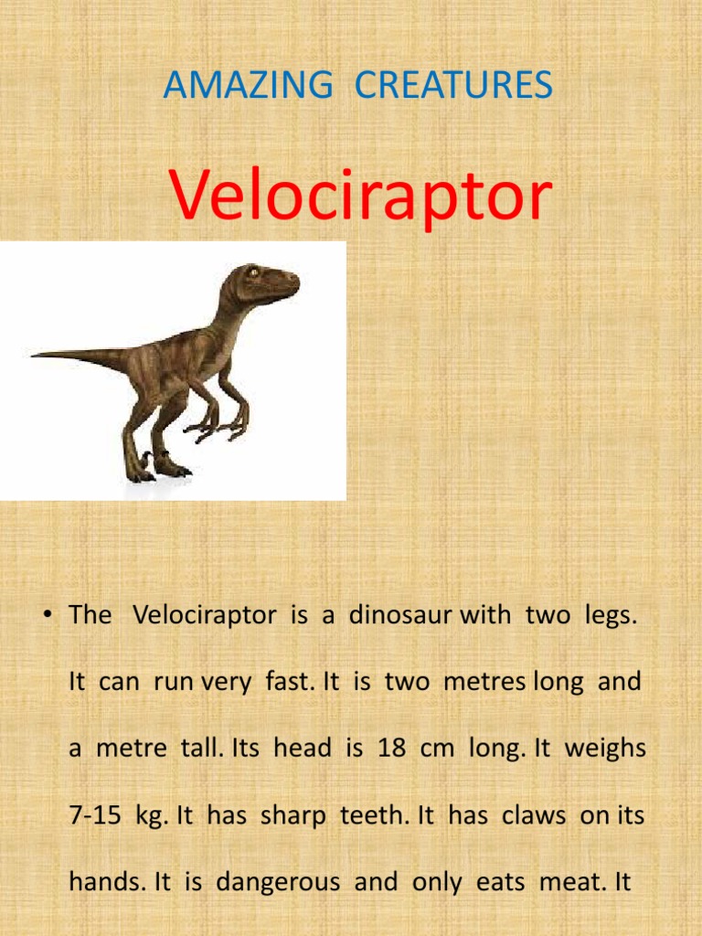 AMAZING CREATURES-text | PDF