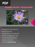 Ficha Técnica Del Pasto Imperial (Axonopus Scoparius, Hitchc) | PDF ...