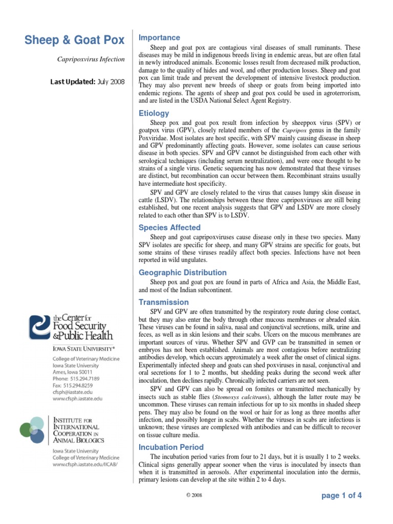 Sheep & Goat Pox: Importance | PDF | Infection | Cutaneous Conditions