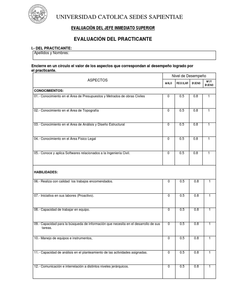 Evaluación Del Jefe Inmediato Superior Practicante | PDF | Evaluación ...