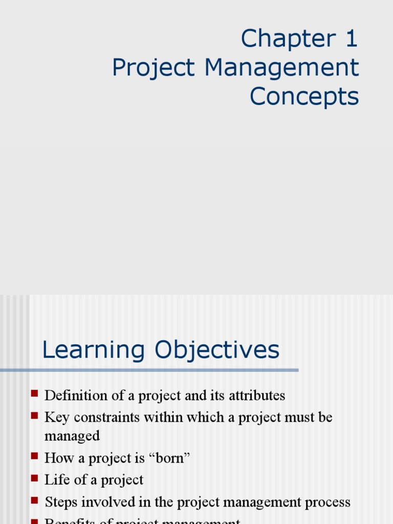 Project Management Concepts Explained | PDF | Project Management ...