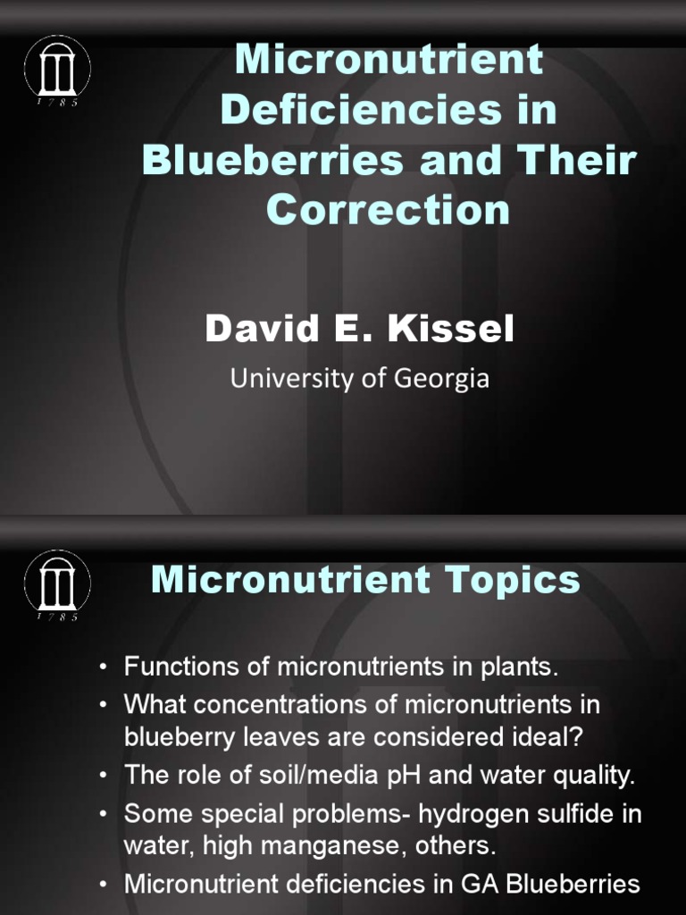 Micronutrient Deficiencies in Blueberries and Their Correction Dr ...