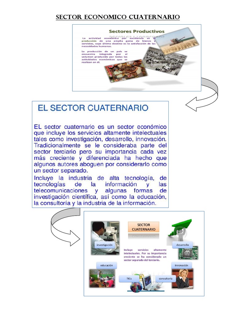 Sector Economico Cuaternario | PDF