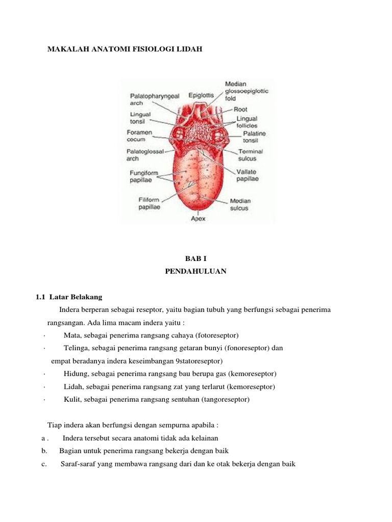 Makalah Anatomi Fisiologi Lidah Odey | PDF