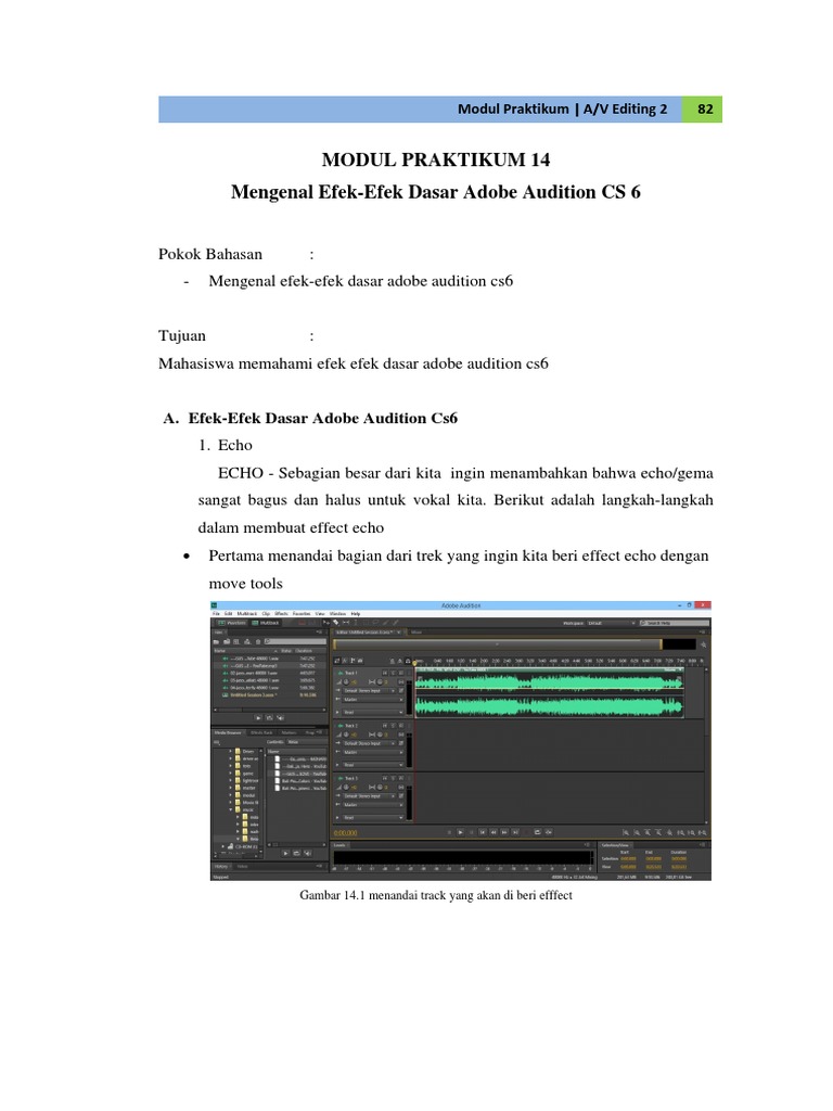 Tool Adobe Audition | PDF