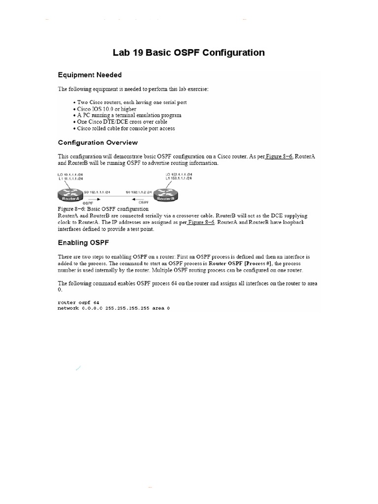 Lab 19 Basic OSPF Configuration | PDF