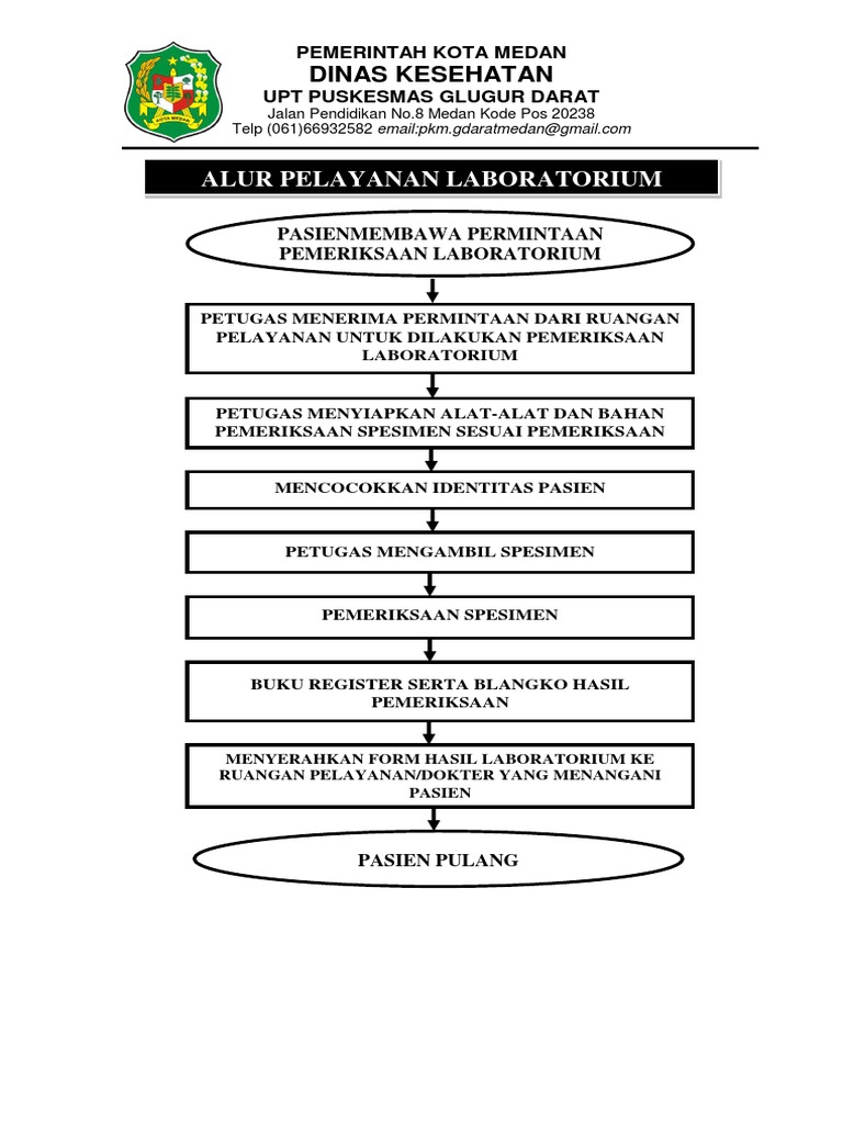 Alur Pelayanan Laboratorium | PDF