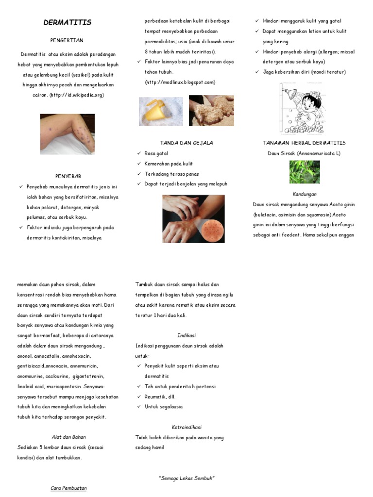 Leaflet Dermatitis | PDF