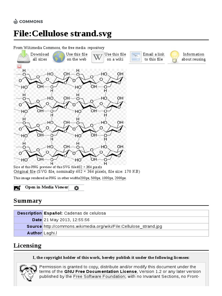 File Cellulose Strand - SVG | PDF | Intellectual Works | Computing