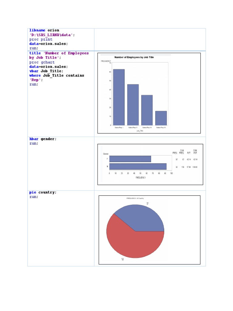 SAS Data Visualization Techniques | PDF