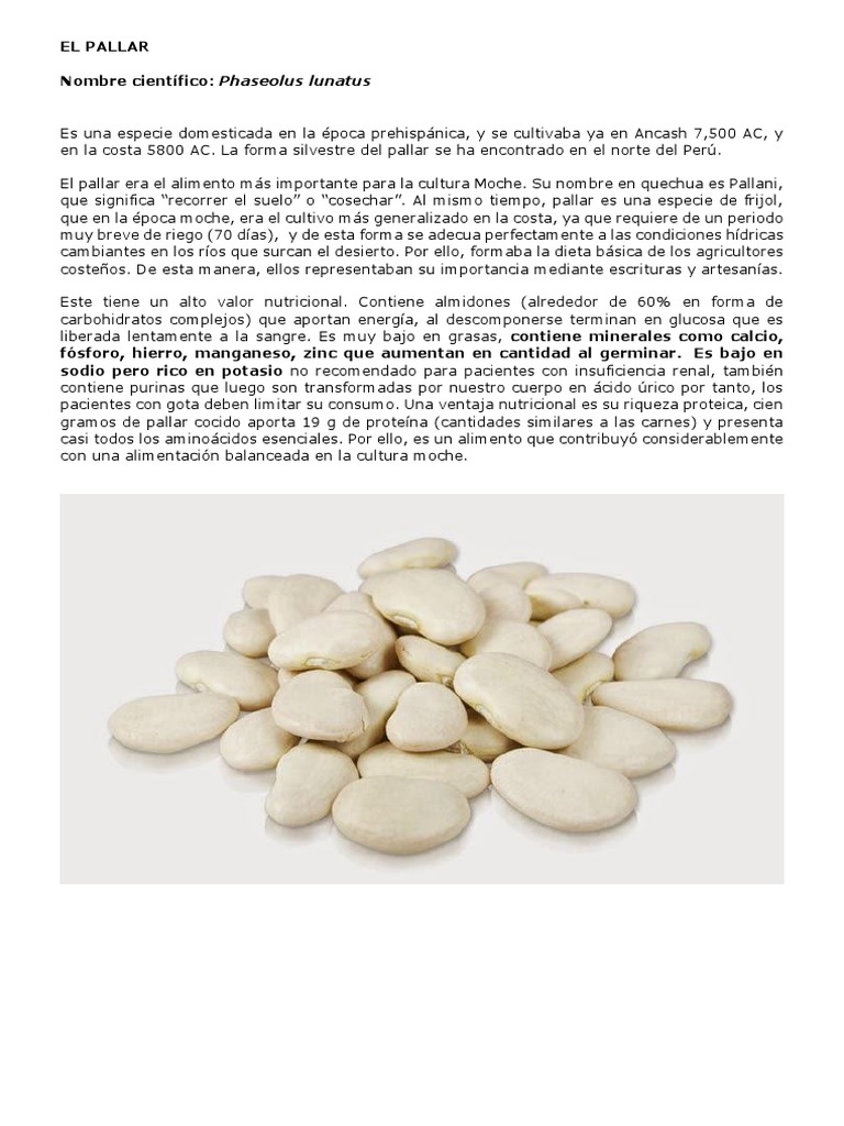 Significado y beneficios del pallar | PDF | Lenteja | Legumbre