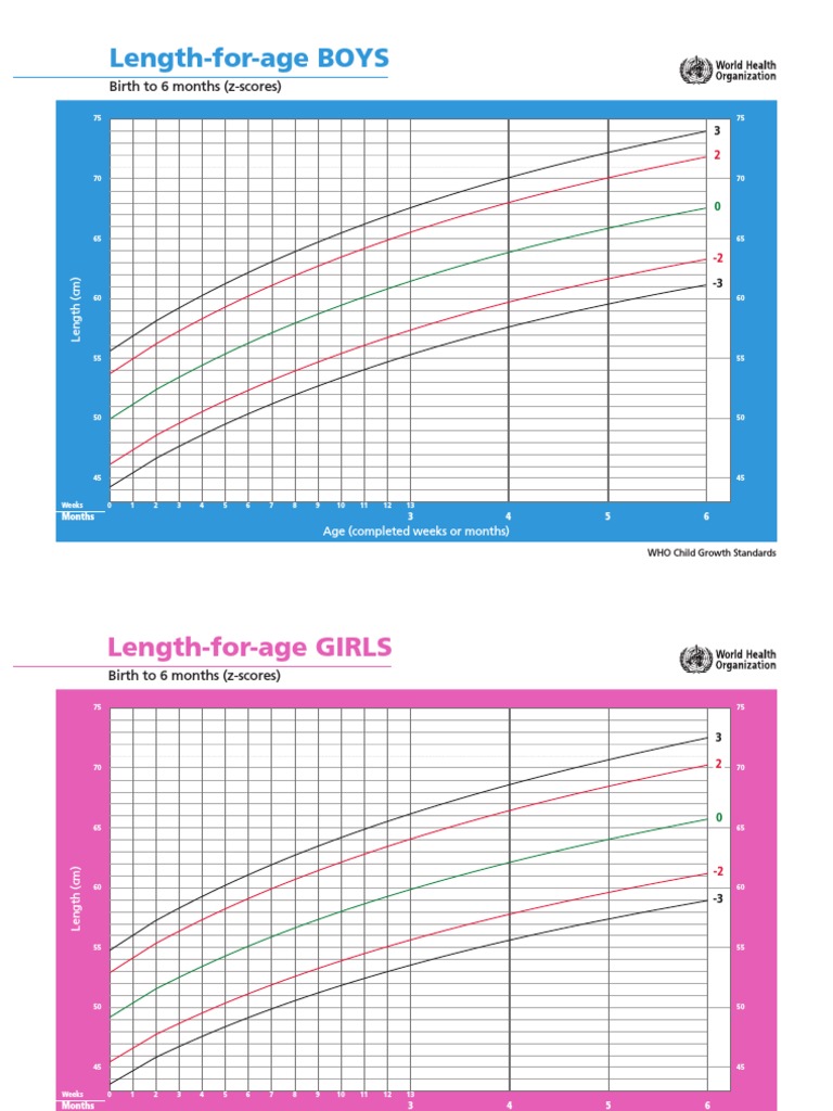 Kurva Who | PDF | Nature