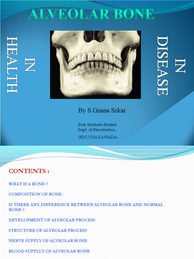 Alveolar Bone in Health Disease Seminar | PDF | Bone | Osteoblast